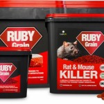 Ruby Grain, - Lodi UK